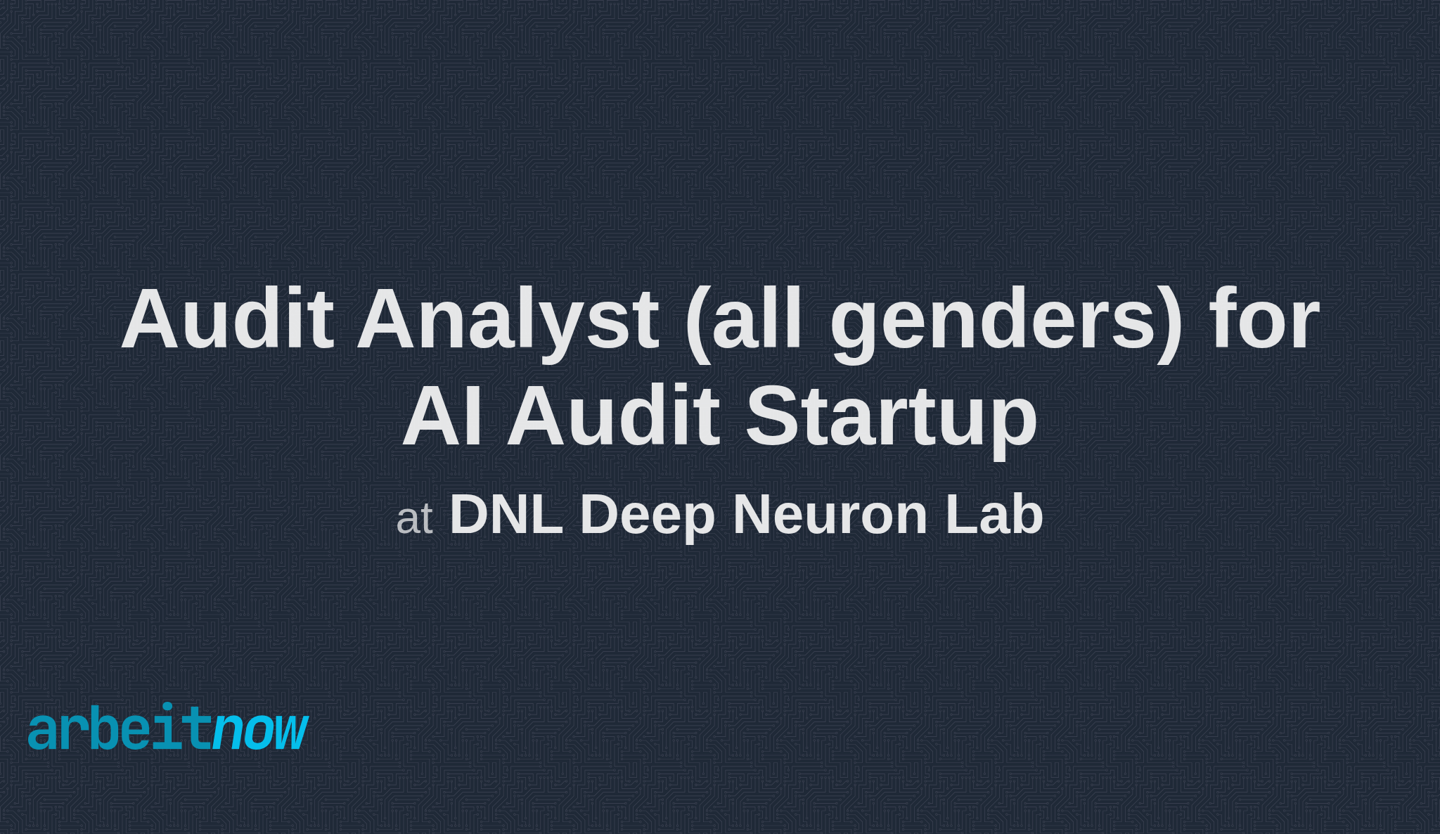 Audit Analyst (all genders) for AI Audit Startup job at DNL Deep Neuron ...
