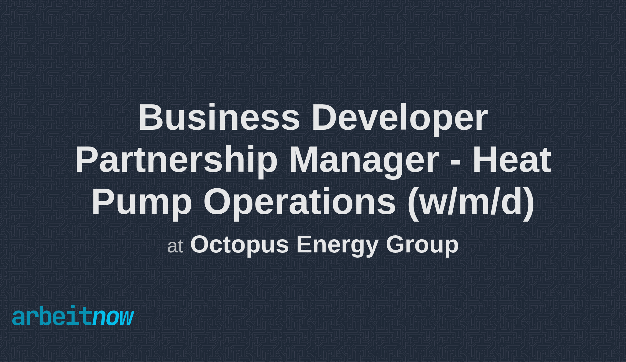 Business Developer Partnership Manager - Heat Pump Operations (w/m/d ...