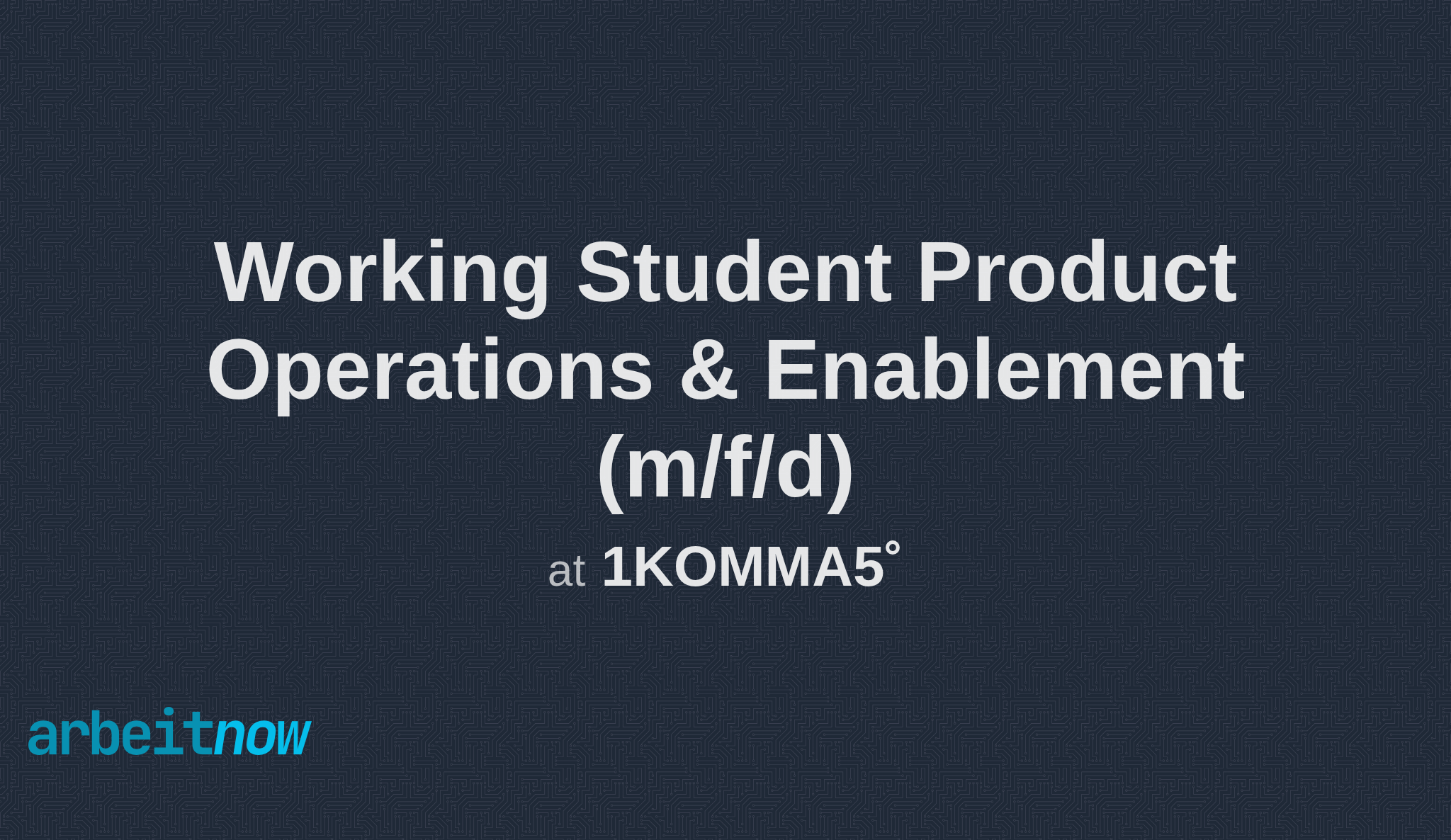 Working Student Product Operations & Enablement (m/f/d) job at 1KOMMA5 ...